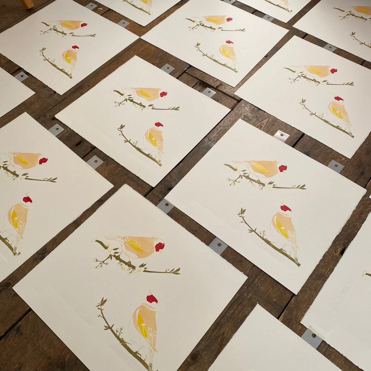 Goldfinch – Sarah Stewart Printmaker